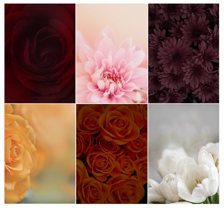 18 Fine Art Floral Texture Backgrounds | Photo Backgrounds | Flower ...