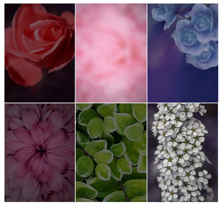 18 Fine Art Floral Texture Backgrounds | Photo Backgrounds | Flower ...