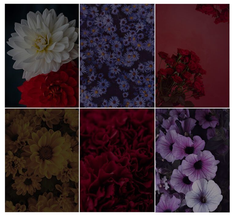 18 Fine Art Floral Texture Backgrounds | Photo Backgrounds | Flower ...