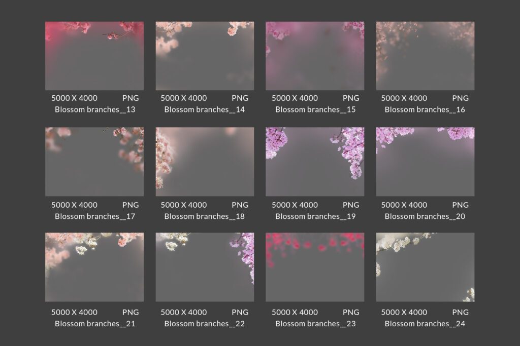 25 Painted blossom branches photo overlays, photoshop overlay PNG ...