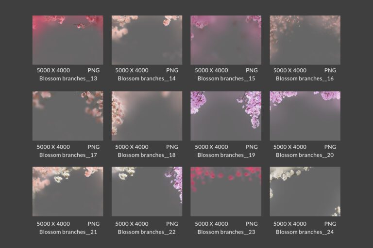 25 Painted blossom branches photo overlays, photoshop overlay PNG ...