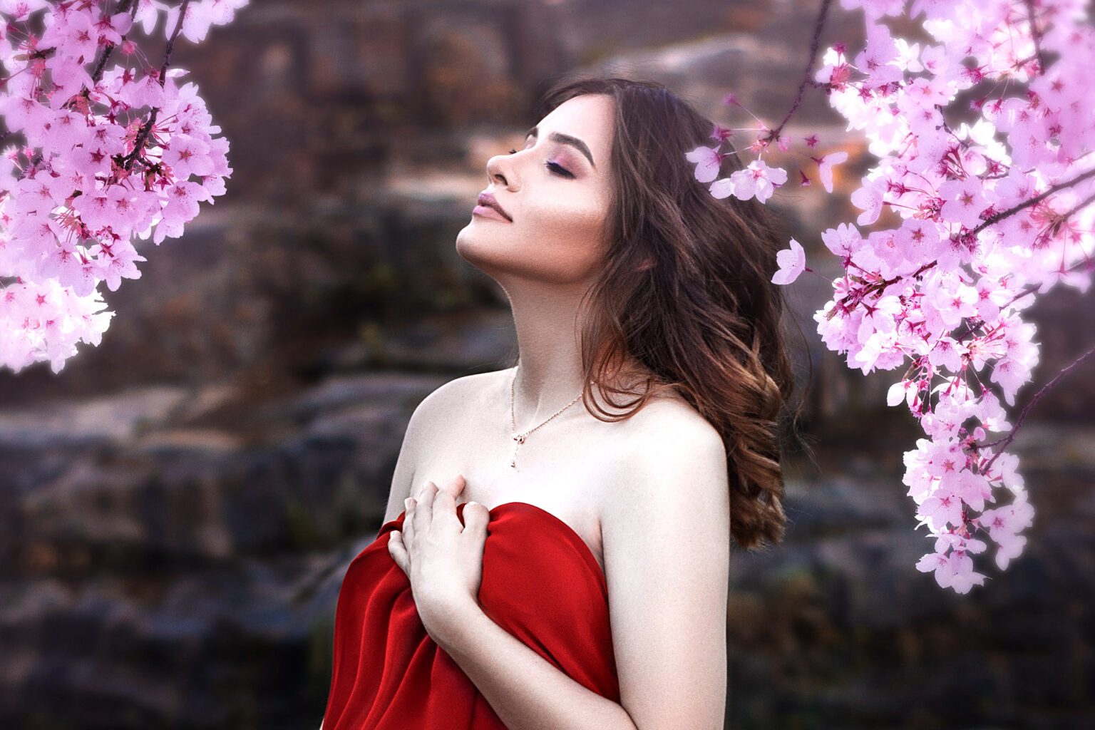 25 Painted blossom branches photo overlays, photoshop overlay PNG ...