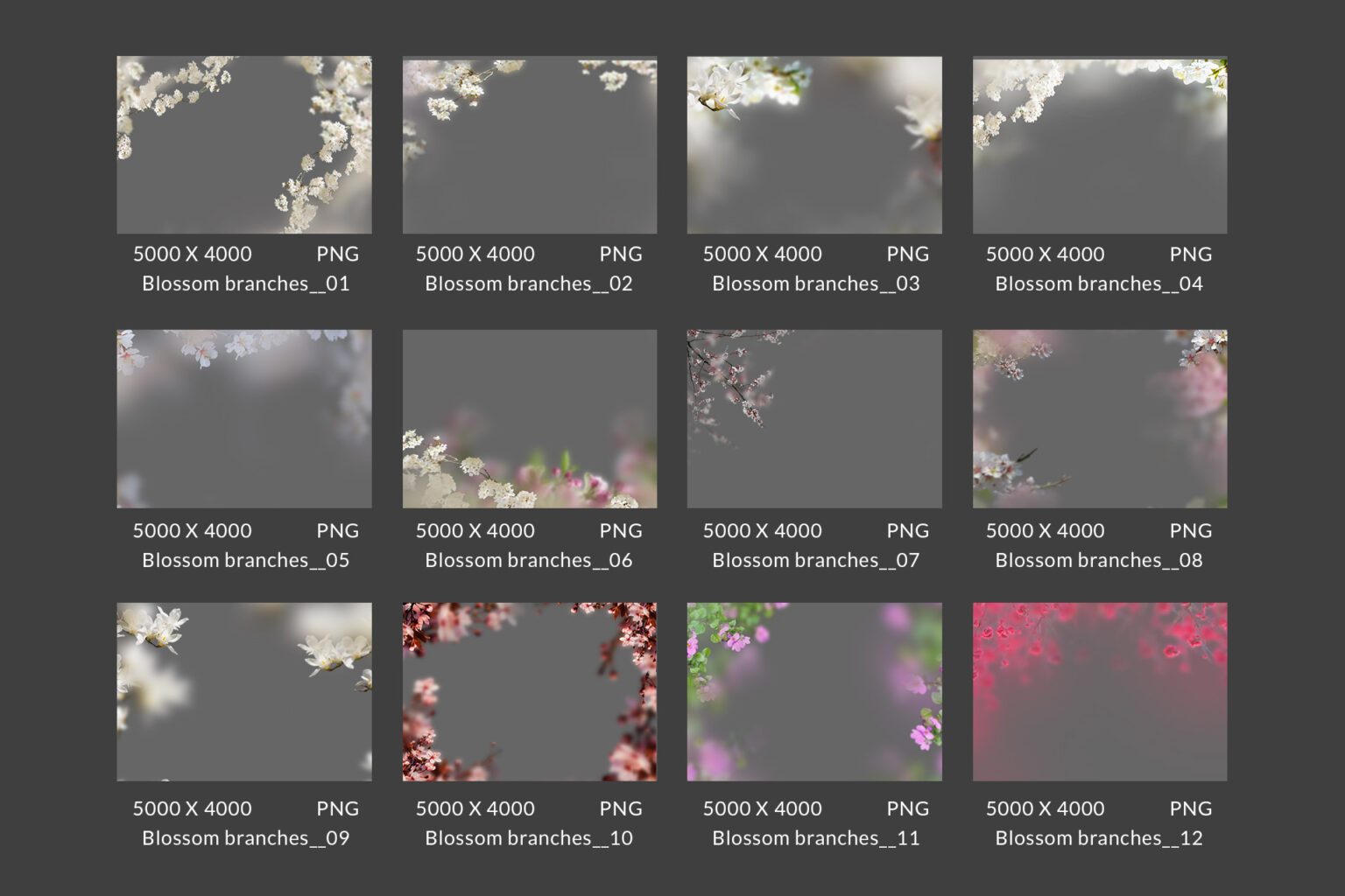 25 Painted blossom branches photo overlays, photoshop overlay PNG ...