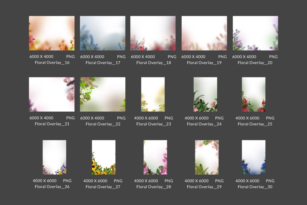 30 Painted Floral Photo Overlays, Photoshop Overlay, Photography ...