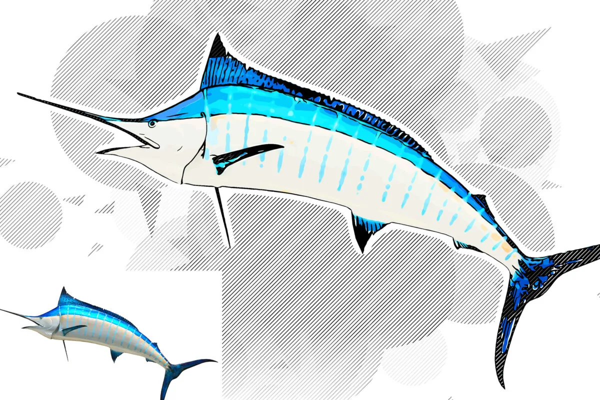 FREE Vectro Photoshop Action | Gogivo