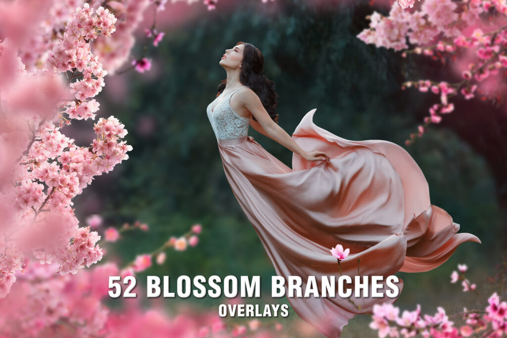 52 Painted blossom branches photo overlays, PNG | Gogivo