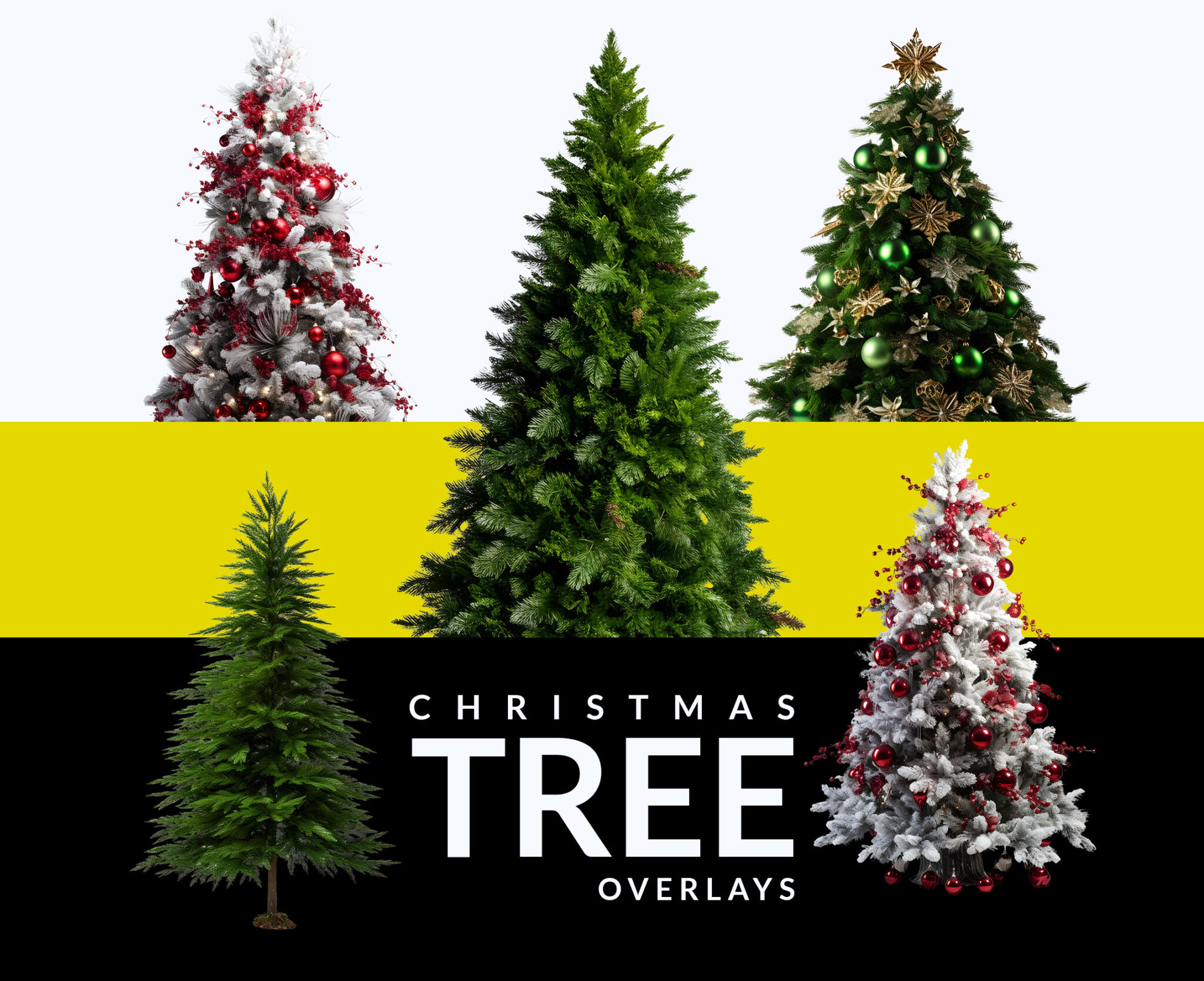 9 Christmas tree PNG overlays | Gogivo