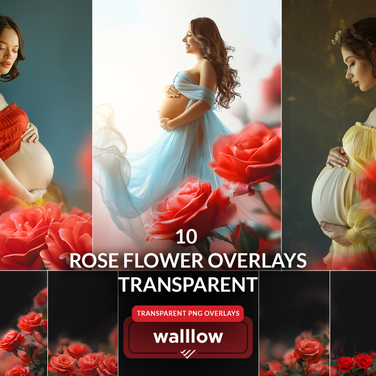 Free 10 Soft focused Rose Flower Transparent PNG floral overlays | Gogivo