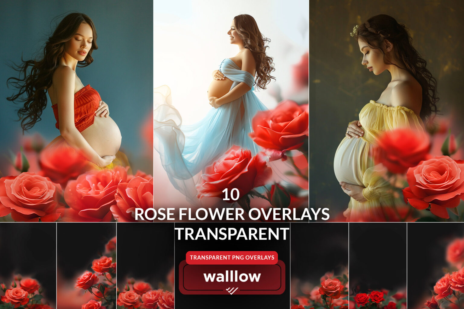 Free 10 Soft focused Rose Flower Transparent PNG floral overlays | Gogivo