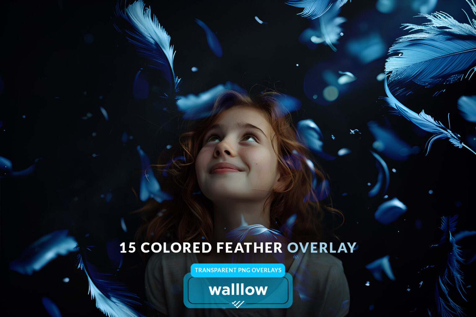 Colorful feathers : 15 Transparent PNG feather photo overlays | Gogivo