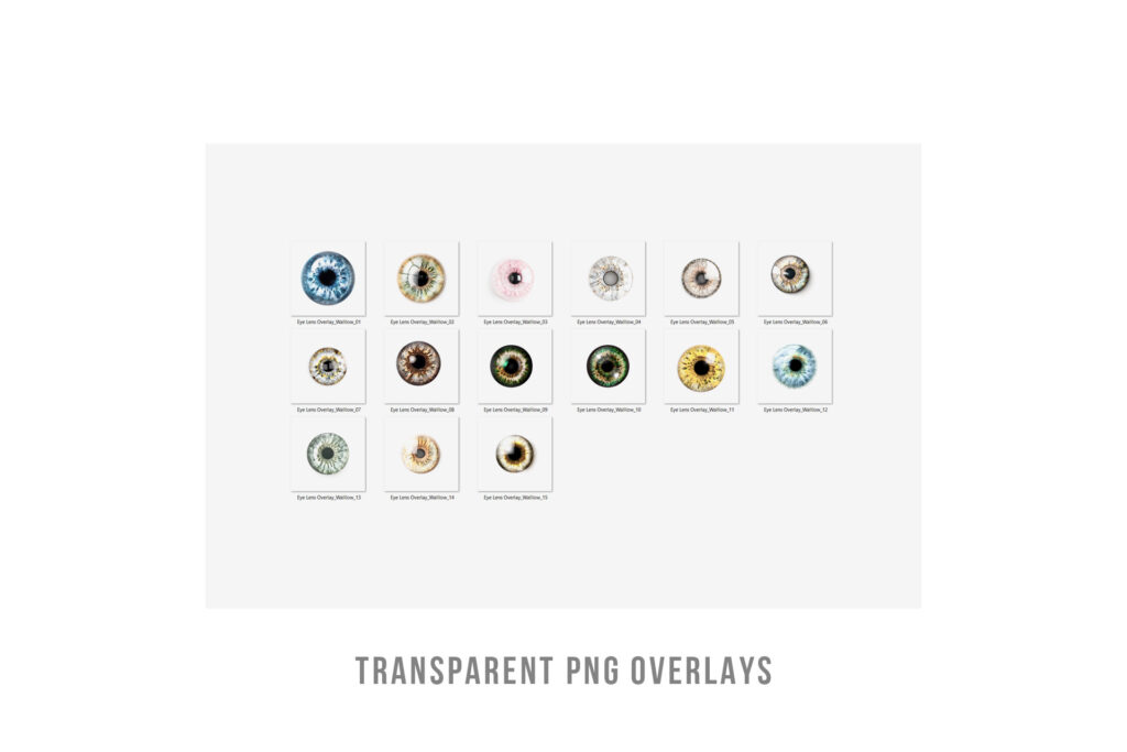 Eye Iris, eye pupil, eye contact lenses, eye tint, eye color, eye ...