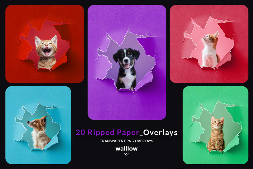 Colorful Ripped paper png transparent photo overlays | Gogivo
