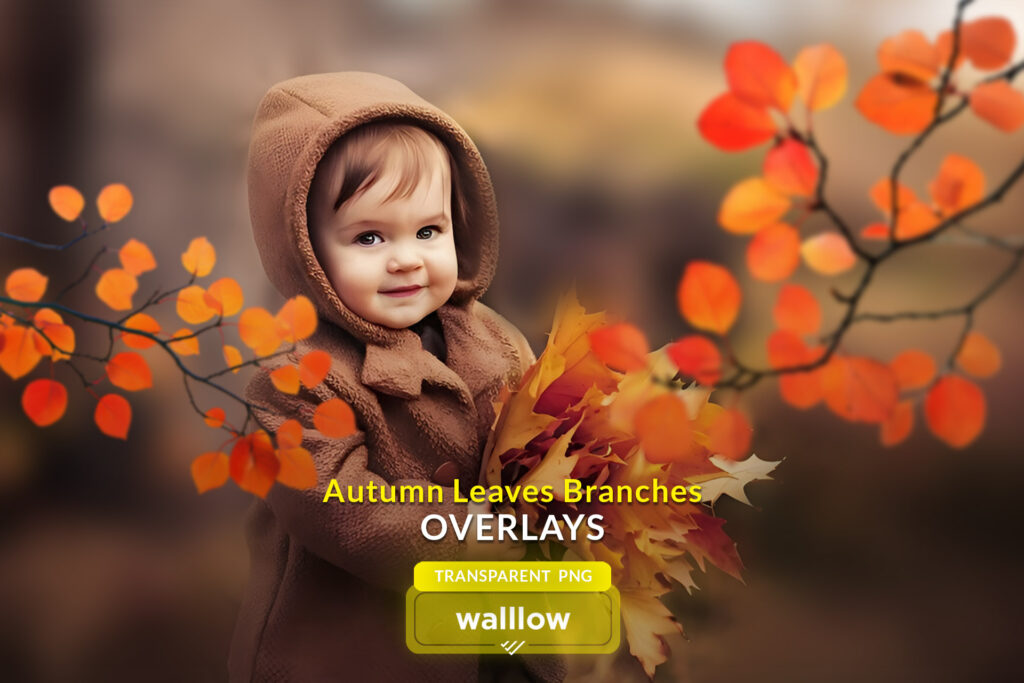 Autumn Branches and Leaves PNG Photo Overlays | Fall Foliage ...