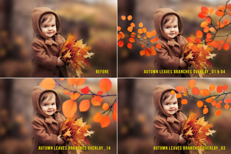 Autumn Branches and Leaves PNG Photo Overlays | Fall Foliage ...