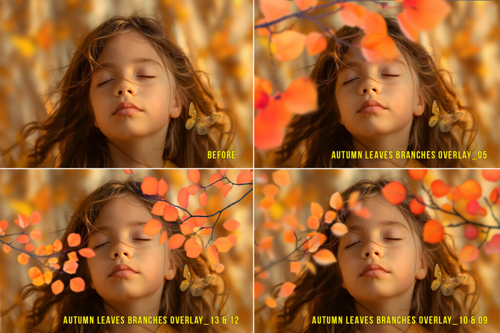 Autumn Branches and Leaves PNG Photo Overlays | Fall Foliage ...