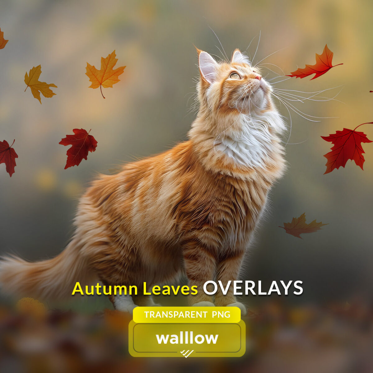 Fall Leaves Overlays, Autumn PNG Leaf Photography Overlay Set | Gogivo
