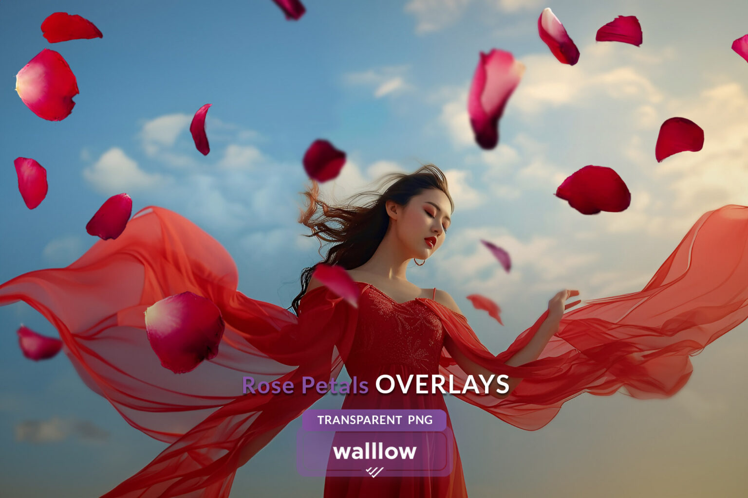 Falling Rose Petals Transparent PNG Overlays Romantic Wedding Photo ...